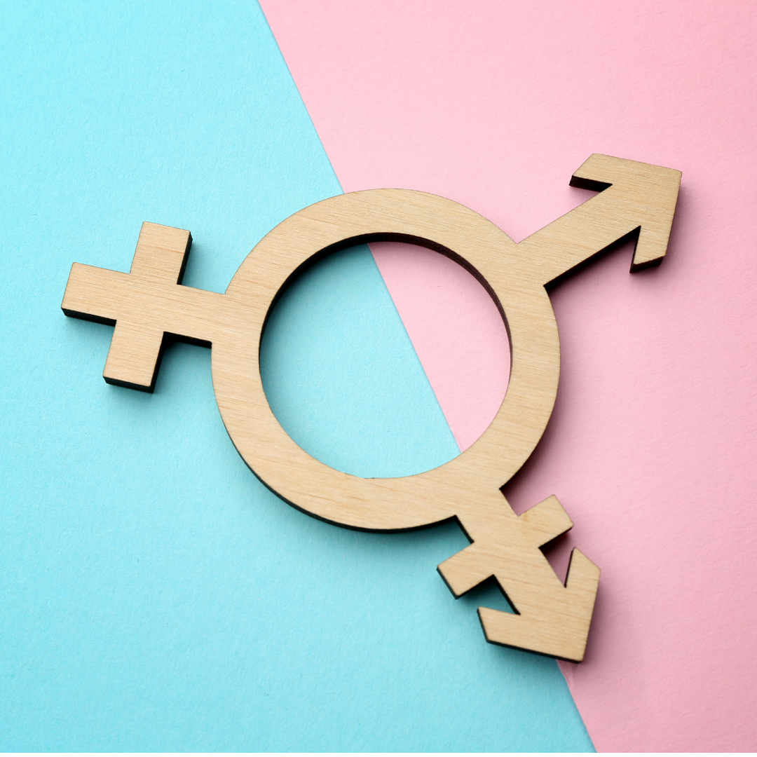 Guidelines For Sex Gender Analysis How Are We Doing In Europe